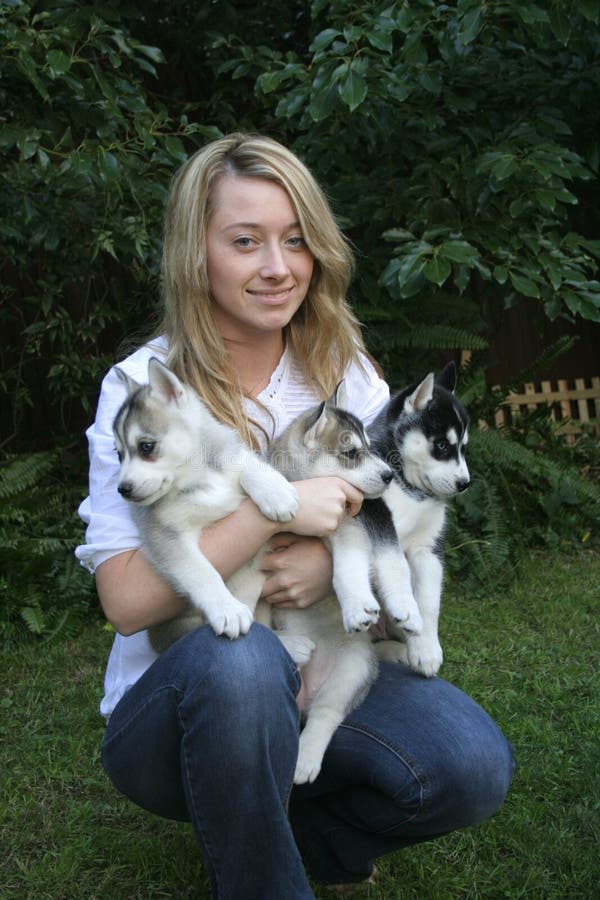 Love my husky puppies stock image. Image of playful, puppy - 22924185