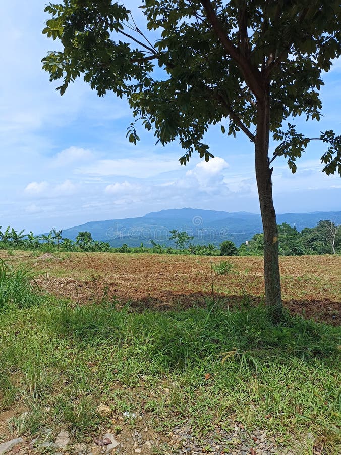 Love Nature in Mountain with My Self,tree Stock Photo - Image of ...