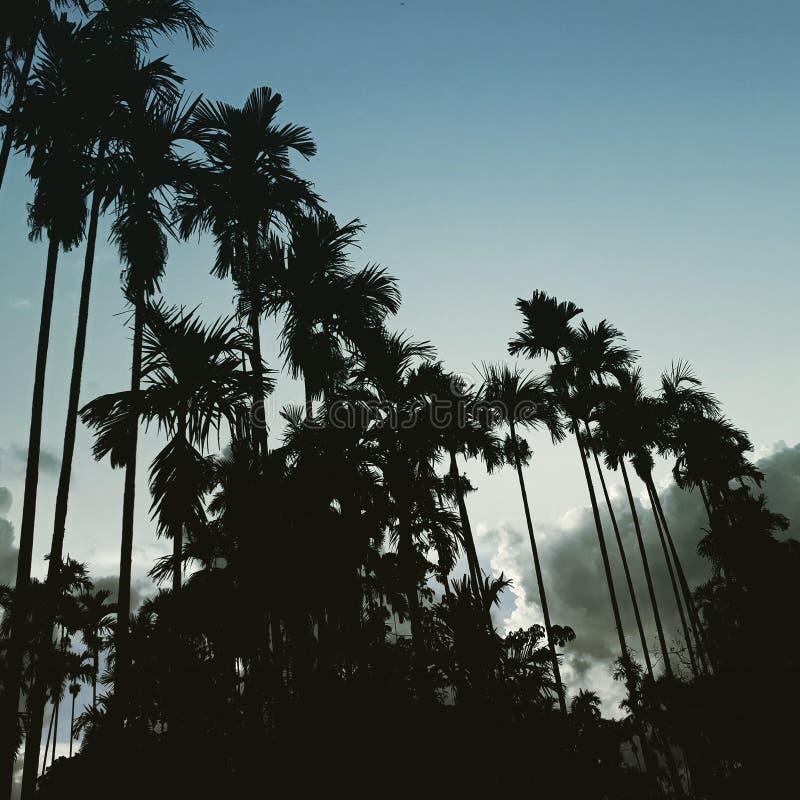 In love with nature stock photo. Image of silent, nature - 123407620