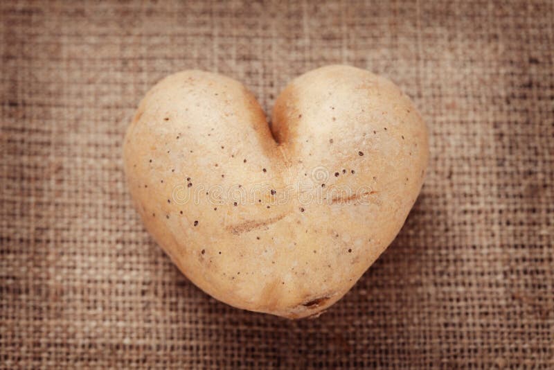 Love potato stock image. Image of shape, food, valentines - 23165853