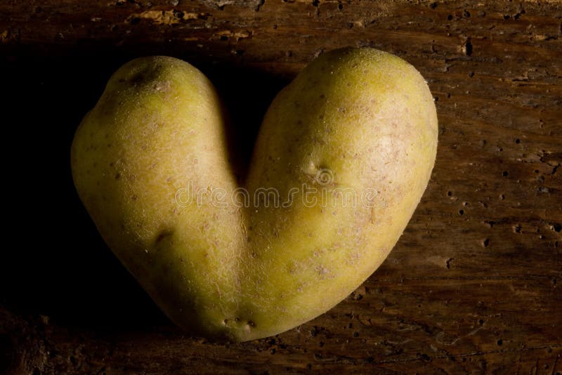 Love Potato stock image. Image of conceptual, life, surface - 6219791