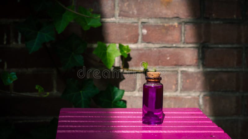 Love potion in the sun stock photo. Image of poison - 230214934