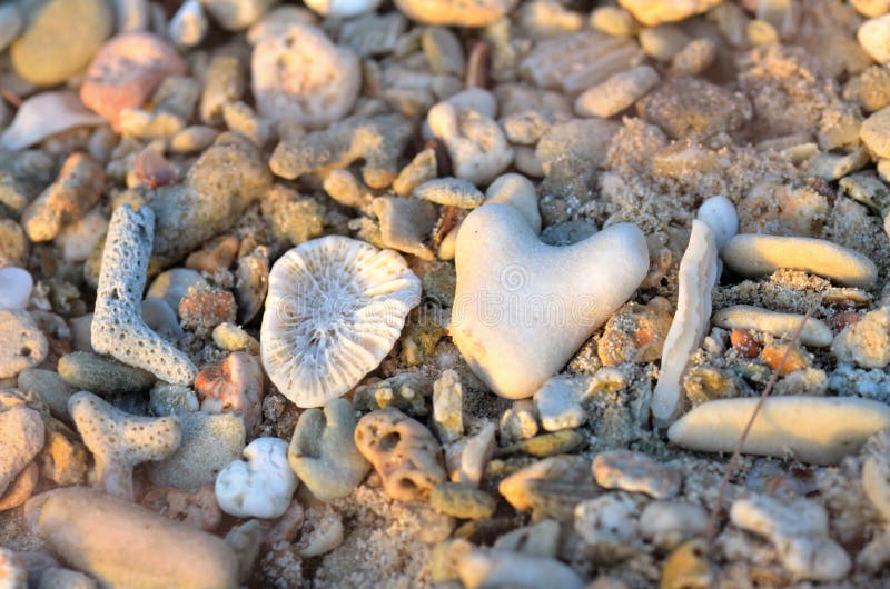 Love in Rocks and Coral stock photo. Image of rocks, coral - 25471442