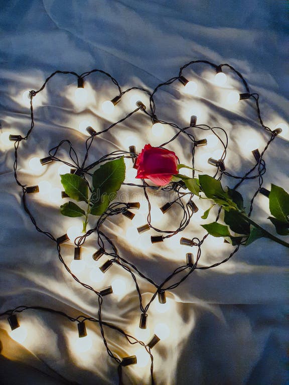 Love Rose Valantine Light Night Stock Image - Image of love, rose ...