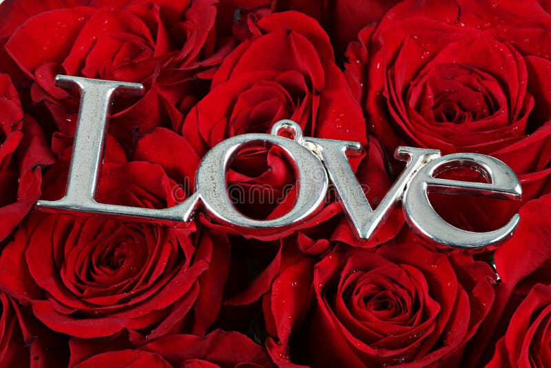 Love and roses stock image. Image of silver, classic - 13081333