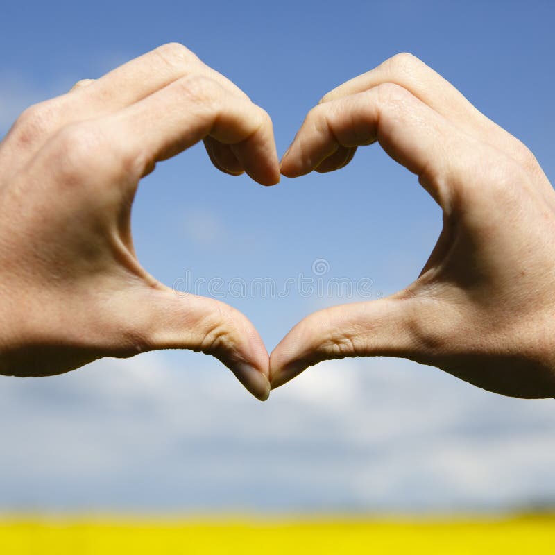 Love Shape Hands - Heart on Yellow Field and Blue Sky Stock Image ...