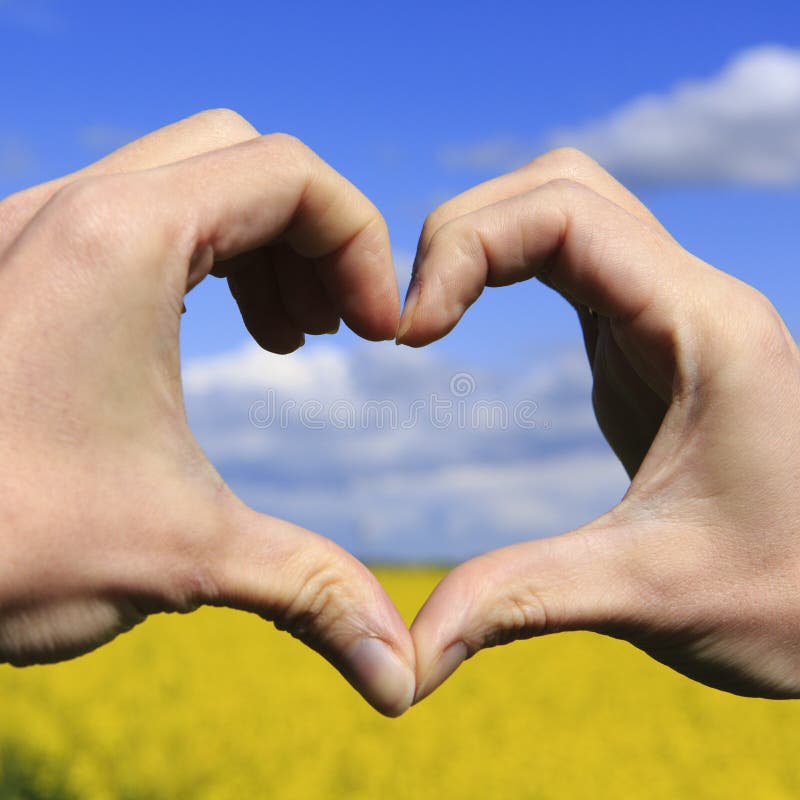 Love Shape Hands - Heart on Yellow Field and Blue Sky Stock Photo ...