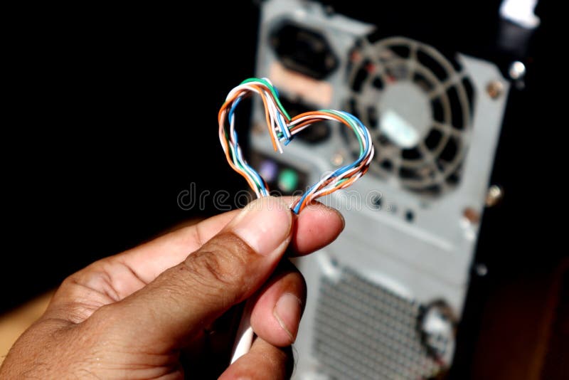 Network Cable is Broken. Closeup Shot of a Broken UTP Ethernet Cable ...