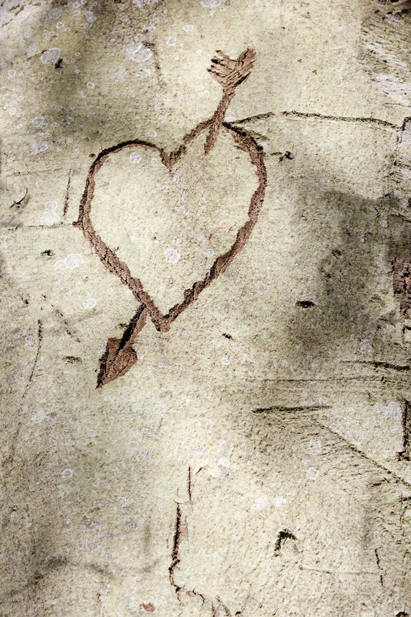 Love sign stock image. Image of tree, birch, inscription - 19398723