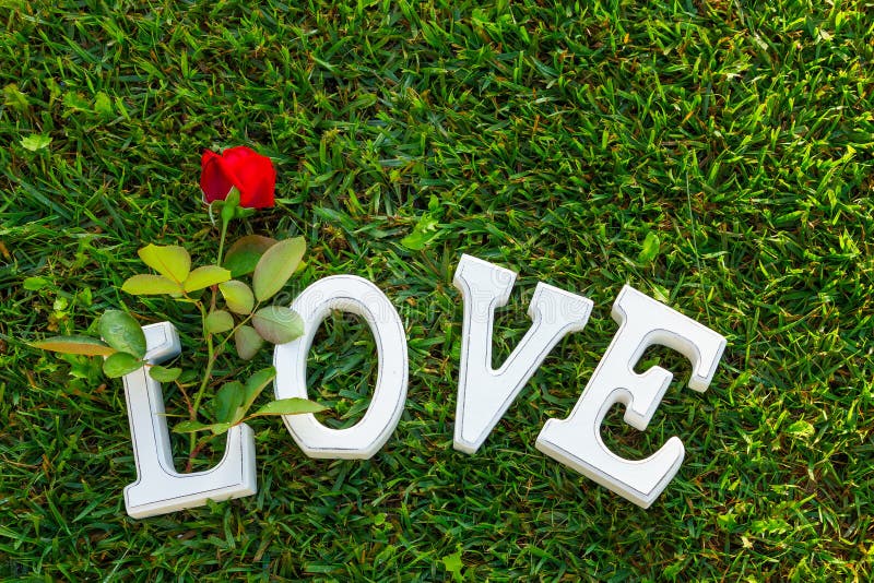 Love sign with rose stock image. Image of shaped, passion - 65187669