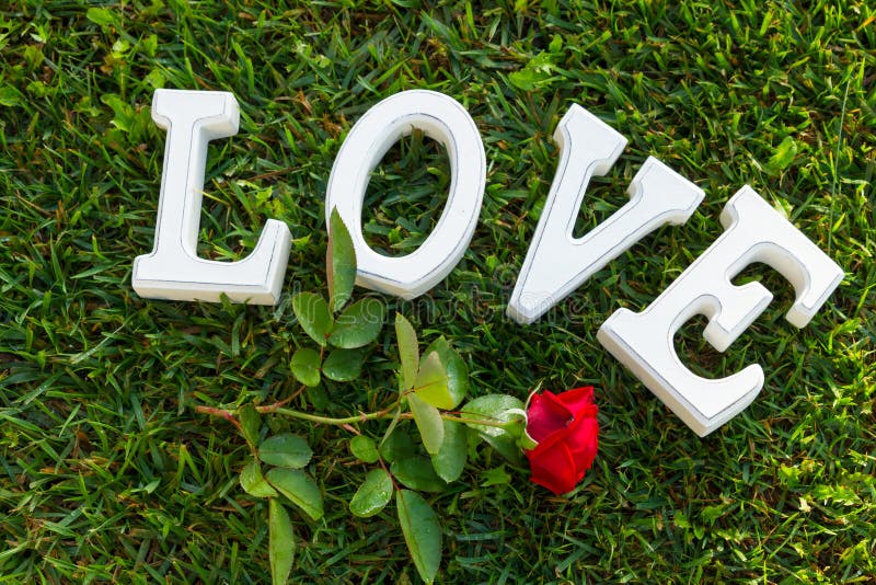 Love sign with rose stock image. Image of shaped, passion - 65187669