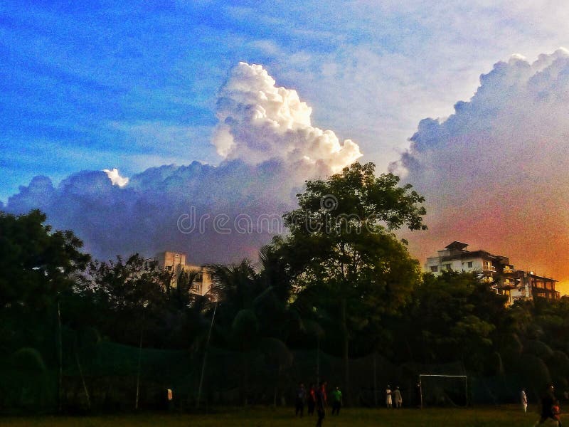 Amazing Picture of Sky Tree and Sun Stock Photo - Image of love ...