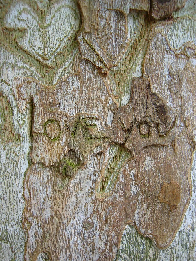 Love on the tree trunk stock image. Image of tree, emotion - 925229