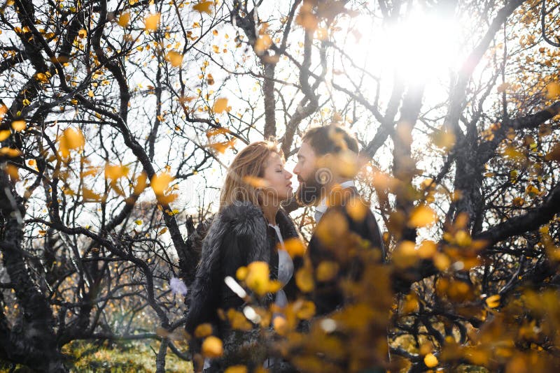 Love among trees stock photo. Image of happy, woman, tree - 84836986