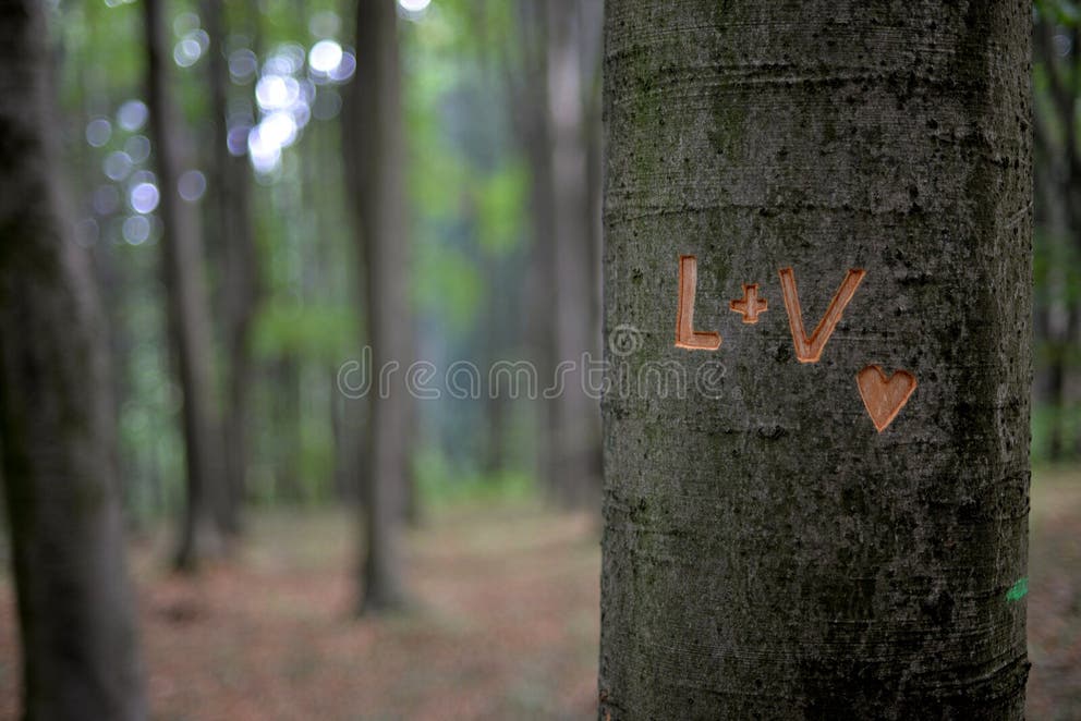 Love and Trees editorial photo. Image of trees, initials - 89222826