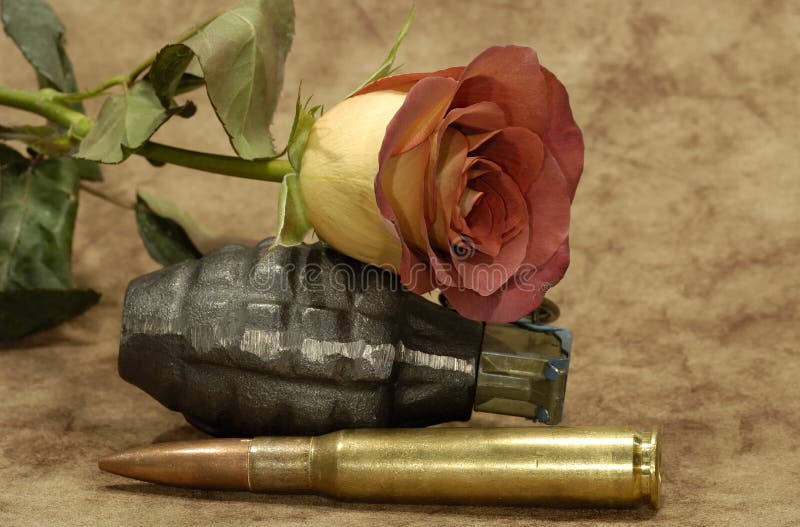 Love and War stock photo. Image of rosebud, bullet, divorce - 1126856