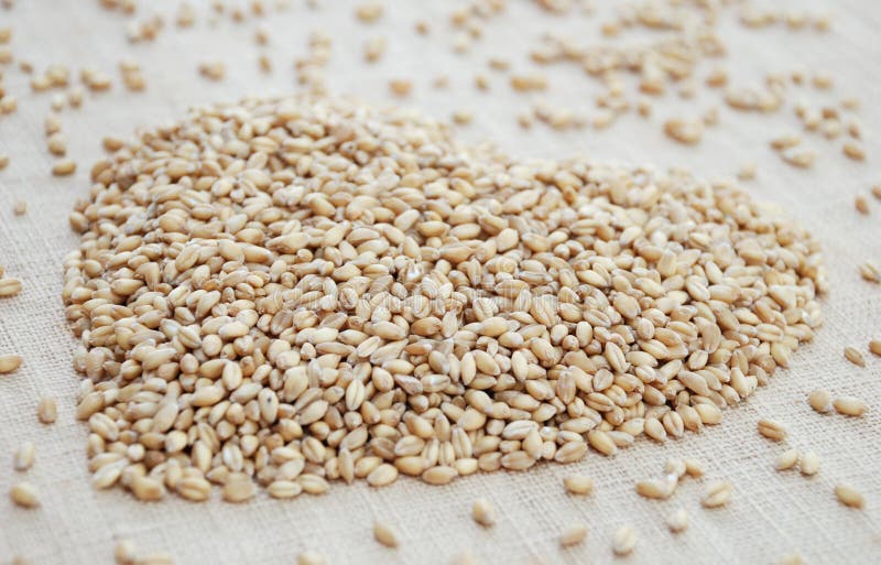 Love is (wheat) stock image. Image of colorful, falling - 36901727