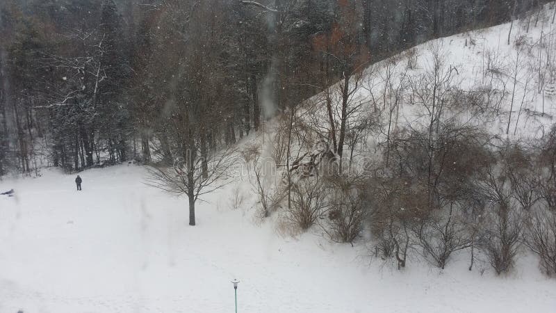 Love winter stock photo. Image of love, winter, season - 51696746