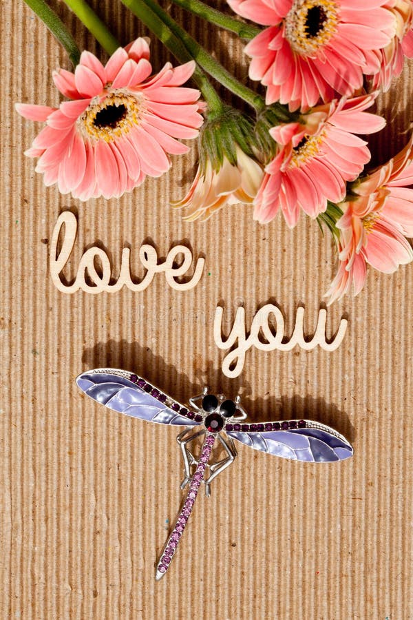Dragonfly in love stock photo. Image of macro, buzz, dragonfly - 28566778
