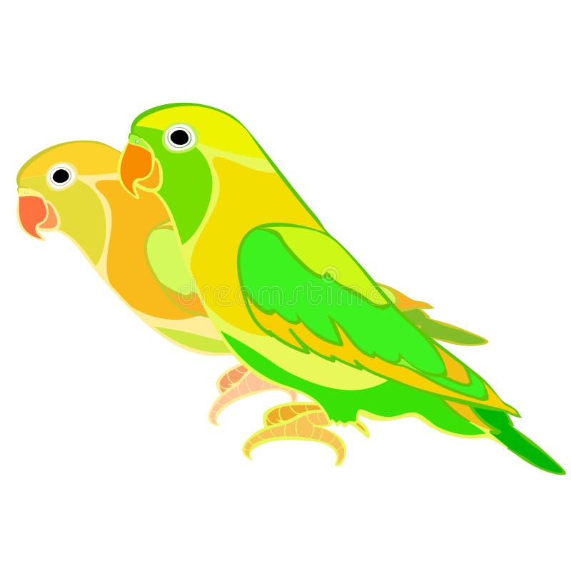 Lovebirds Parrot with a Red Beak. Vector Illustration Stock Vector ...