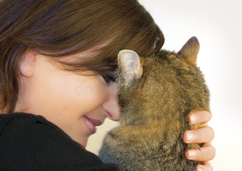 Loved cat 6 stock image. Image of fondling, soft, beautiful - 5131143