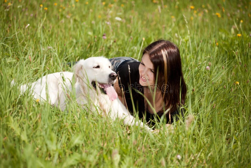 Loved dog stock image. Image of labrador, doggy, embrace - 20827131