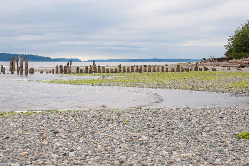 Wooden Row stock image. Image of stones, grass, calm - 105225775