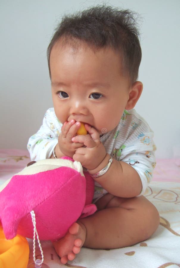 Baby Duck Picture. Image: 1810228