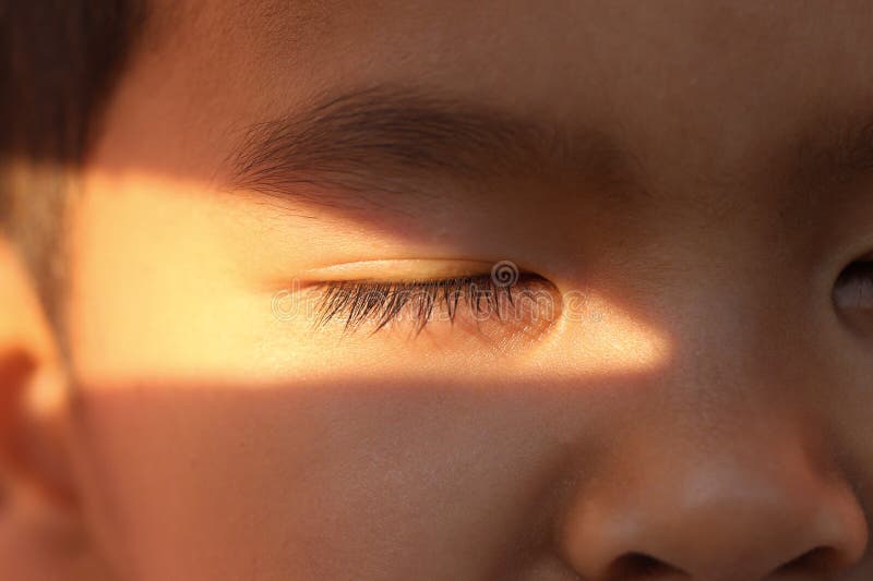 Lovely Boy with Closed Eyes and Evening Sunlight Hit the Face Stock ...