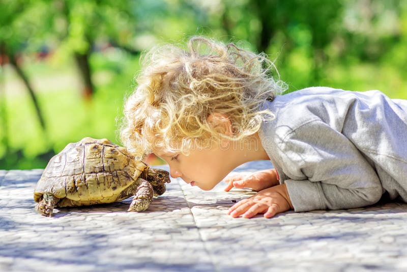 Lovely boy with turtle stock photo. Image of cute, happiness - 146854778