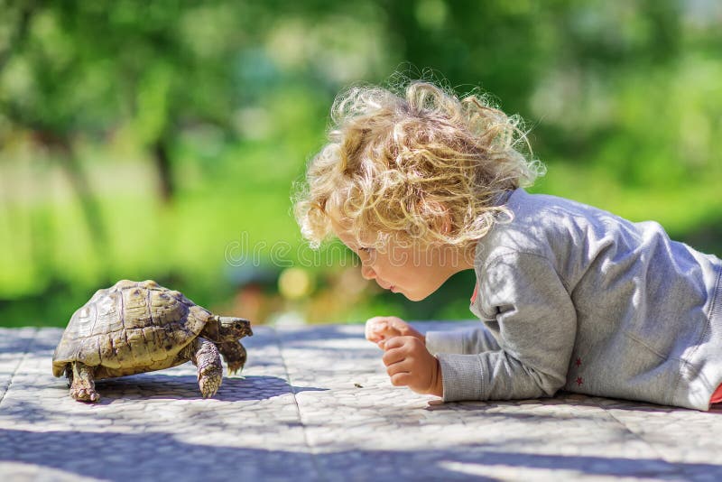 Lovely boy with turtle stock photo. Image of cute, happiness - 146854778