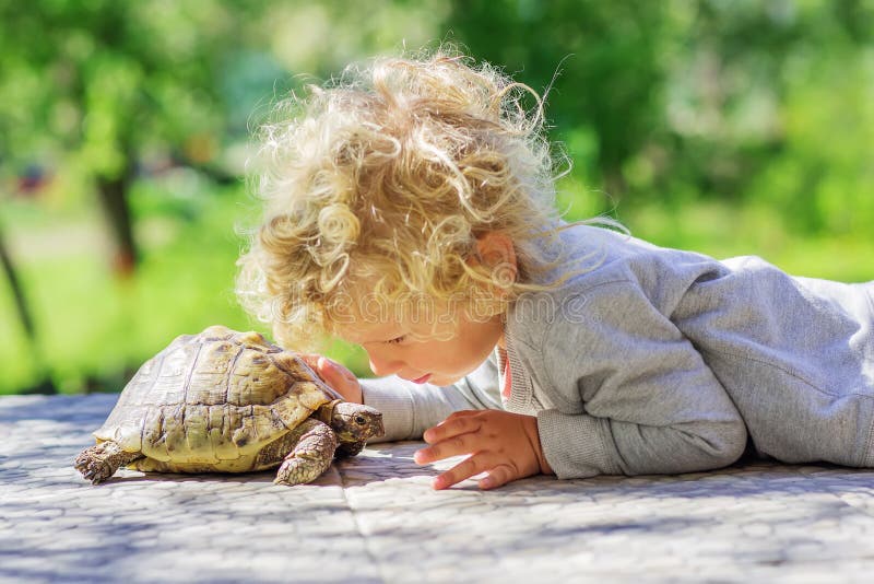 Lovely boy with turtle stock photo. Image of cute, happiness - 146854778