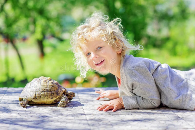 Lovely boy with turtle stock image. Image of childhood - 147654945