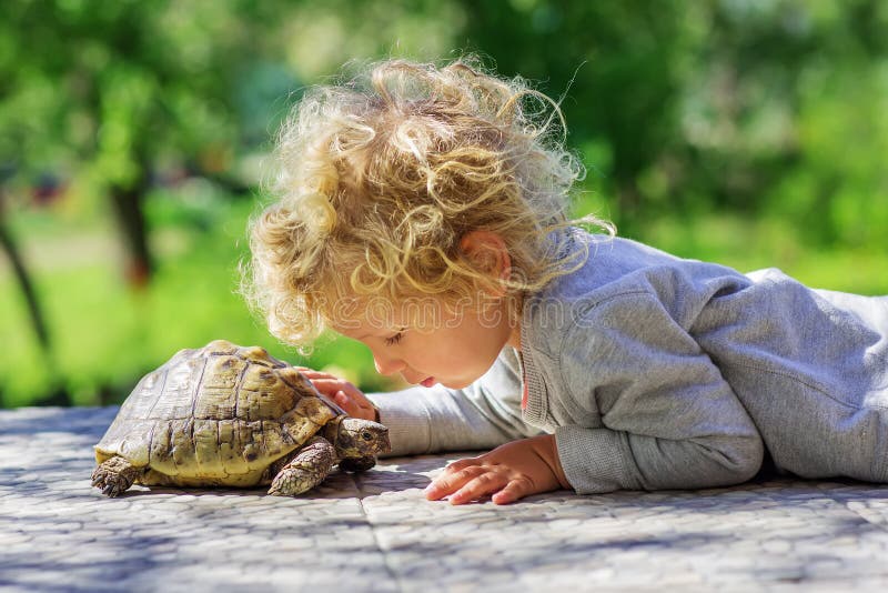 Lovely boy with turtle stock photo. Image of small, side - 149832482