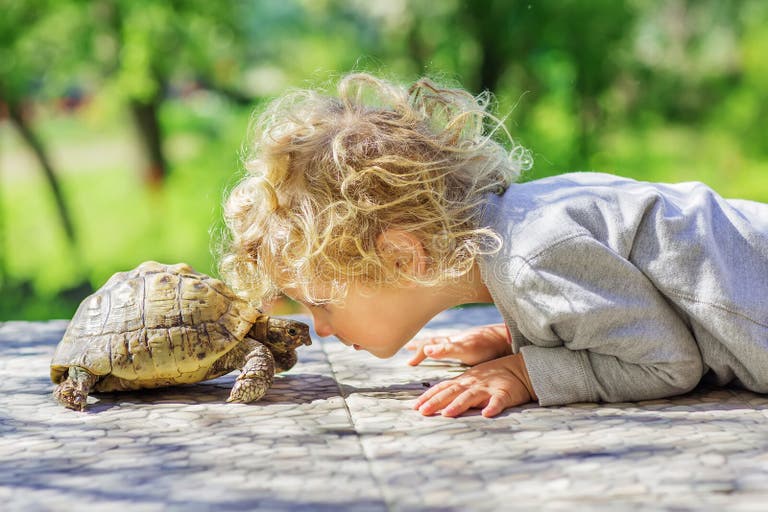 Lovely boy with turtle stock image. Image of animal - 156196227