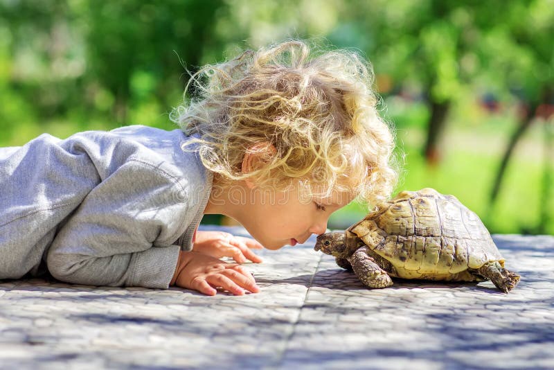 Lovely boy with turtle stock image. Image of childhood - 162985985