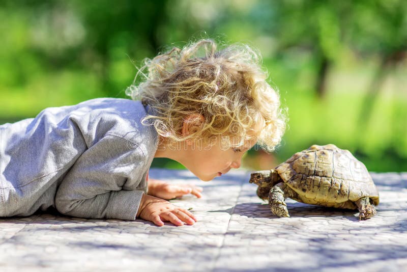 Lovely boy with turtle stock photo. Image of cute, happiness - 146854778