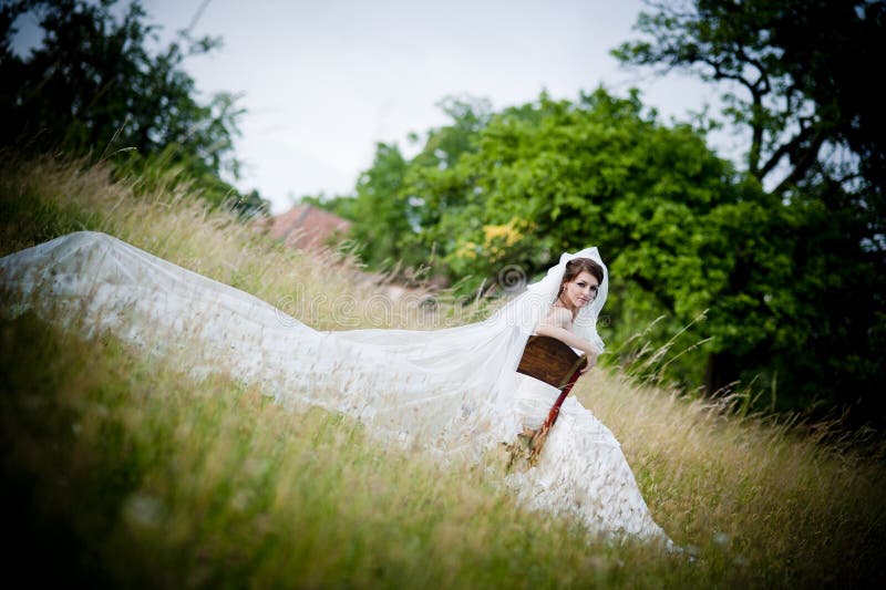 Lovely bride stock image. Image of bridal, dress, caucasian - 33254477