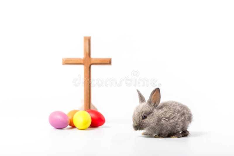 Lovely Bunny Easter Fluffy Baby Rabbit. Easter Rabbit and Cross Stock ... Lovely Bunny Easter Fluffy Baby Rabbit. Easter Rabbit and Cross Stock ...