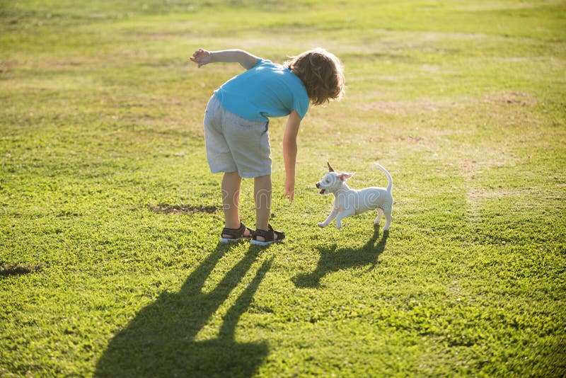 Lovely Child with a Dog Walking Outdoor. Stock Image - Image of people ...