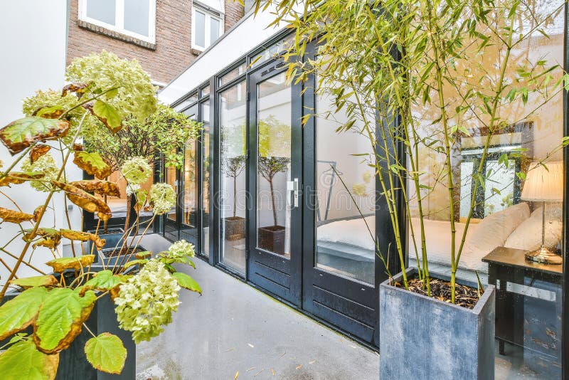 Lovely Courtyard with Trees Stock Photo - Image of trees, design: 233250936