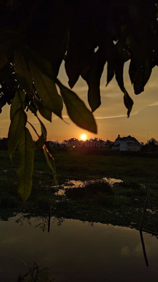 Lovely Evening stock photo. Image of lucky, prettiest - 81988526