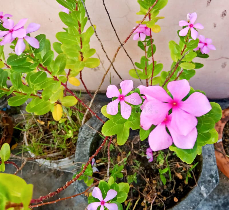 142 Tob Photos - Free & Royalty-Free Stock Photos from Dreamstime