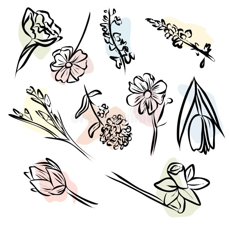 Lovely Flowers Contour Set of Ten Vector Image Stock Vector ...
