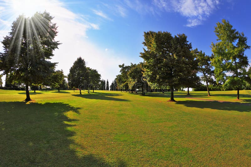 Lovely Green Grassy Lawn at Sunset Stock Photo - Image of beauty, park ...