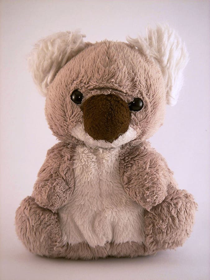 Lovely Koala peluche stock photo. Image of present, tender - 4235400