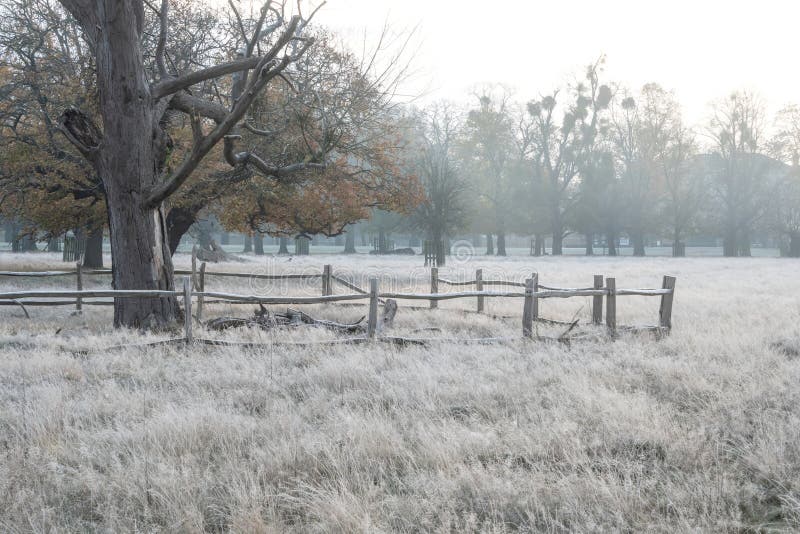 Lovely Landscape Autumn Fall Image at Dawn in Frosty Forest Setting ...