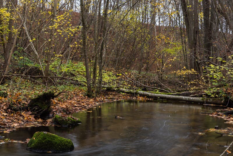 A Lovely Little River in a Forest, Autumn Scenery Stock Photo - Image ...