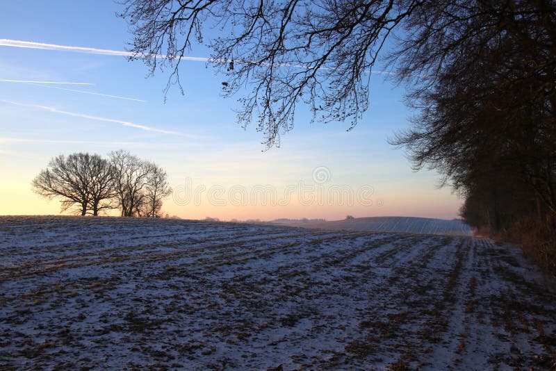 Lovely Morning on a Cold Morning Stock Photo - Image of meadow, reddish ...