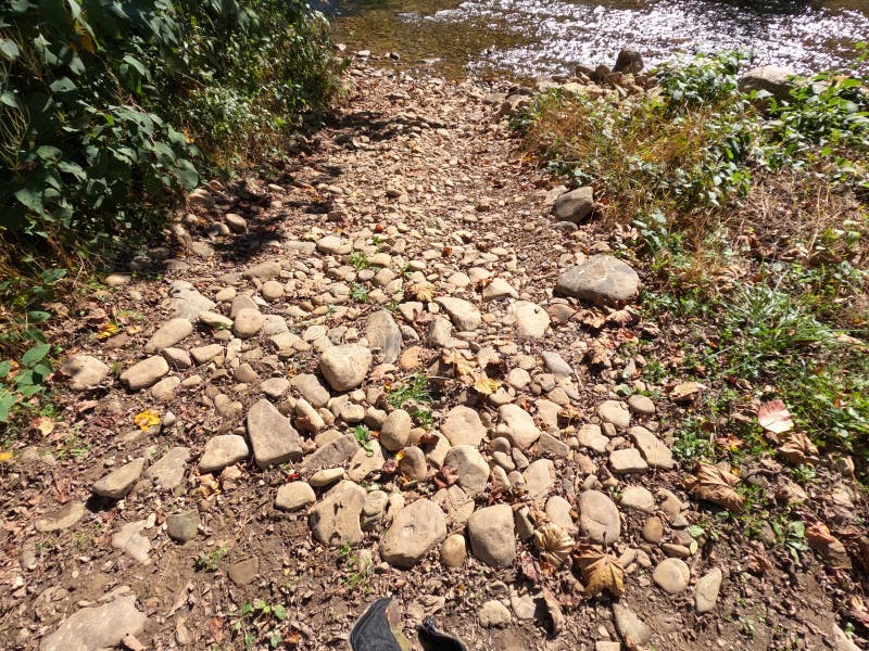 Lovely Peaceful River Path stock photo. Image of stream - 233717906